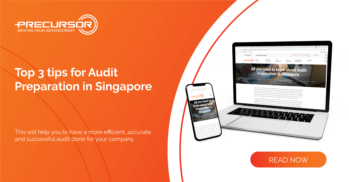 All you need to know about Audit Preparation in Singapore | Precursor ...
